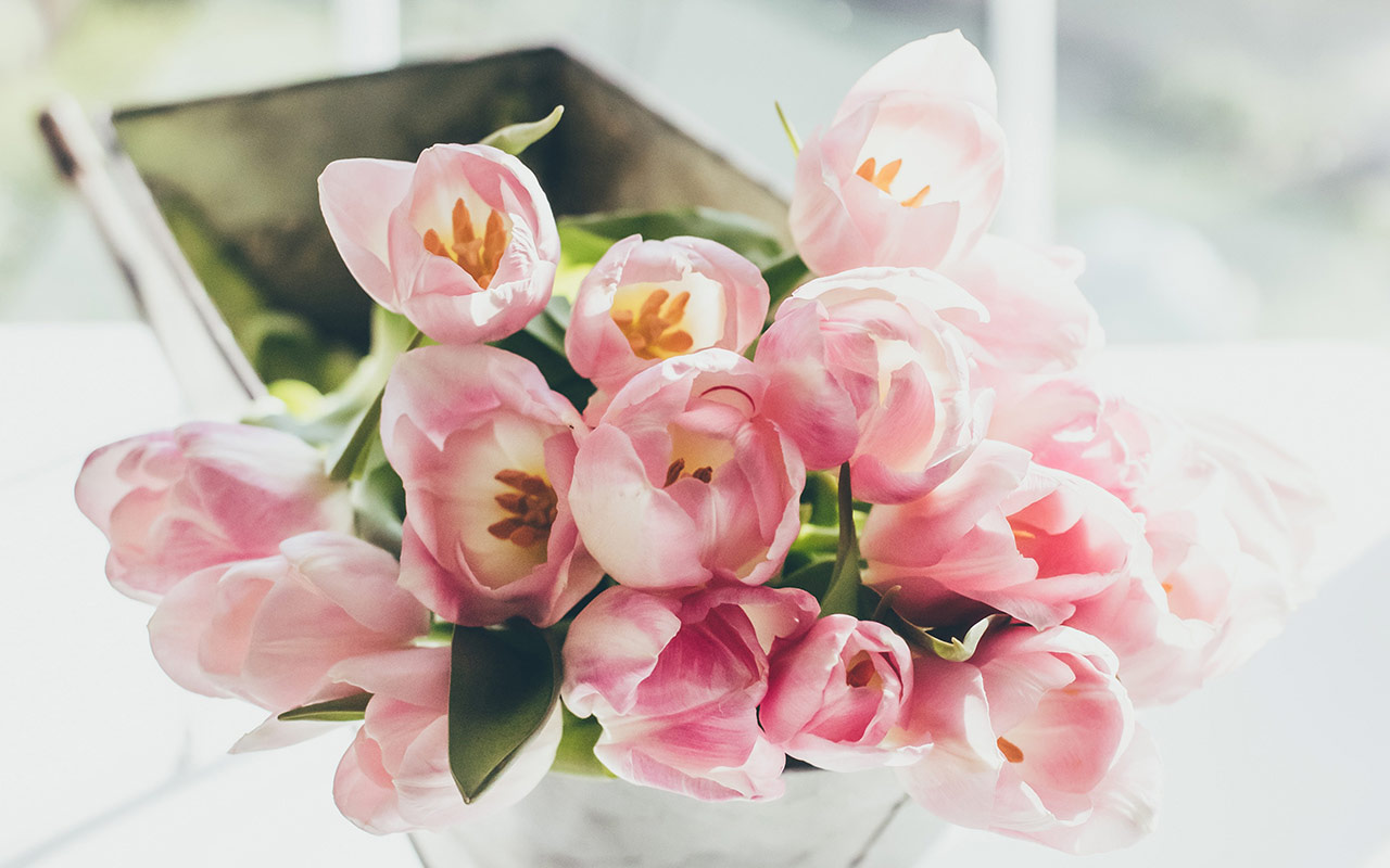 Flowers Always Make Everyone’s Day Brighter – Jannah Flowers